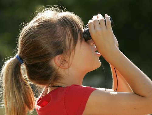 Mit Kindern die Natur entdecken – Eschenbach